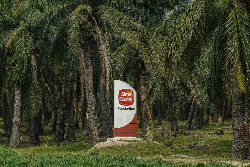 sime darby plantation instagram - Neil Hill