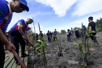 Minister: Malaysia successfully plants 33 million trees | Malay Mail