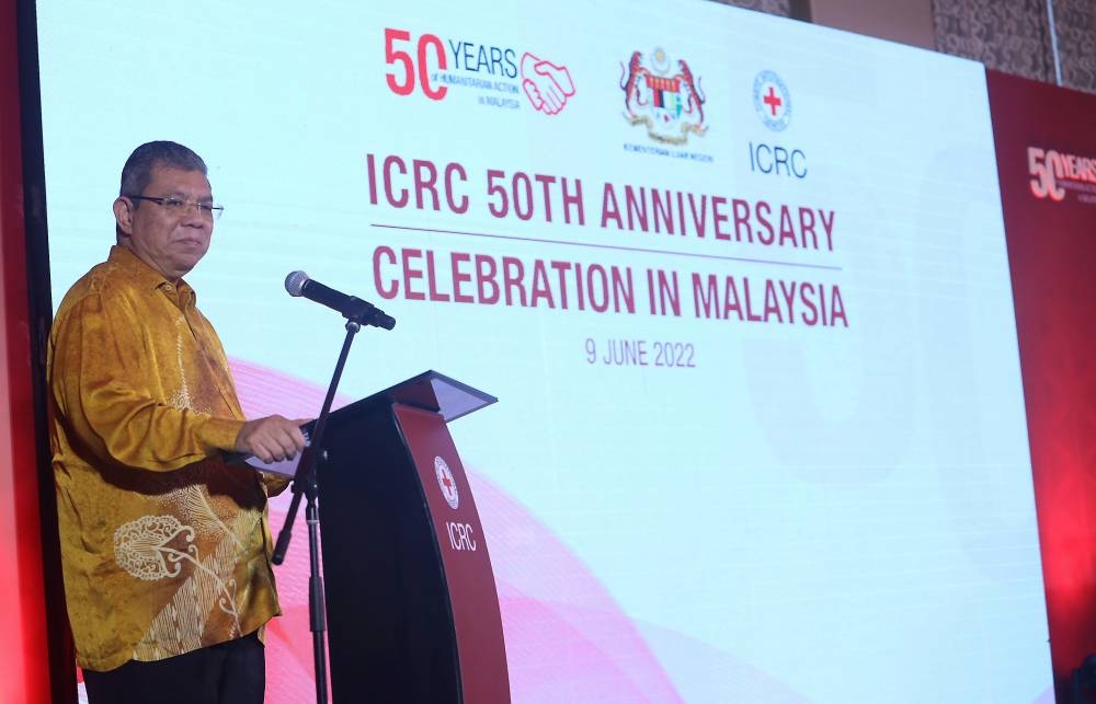 Foreign minister proposes inclusion of ICRC in Myanmar task force ...