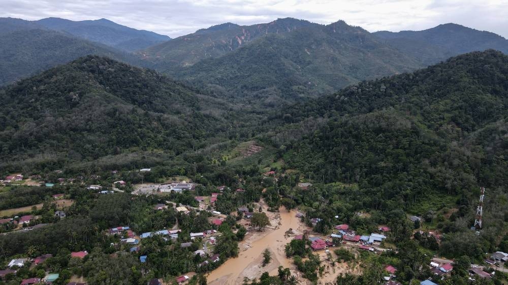 Baling floods: Musang King planting project in Gunung Inas must be ...