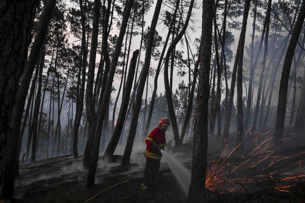Portugal battles forest fires amid heatwave | Malay Mail