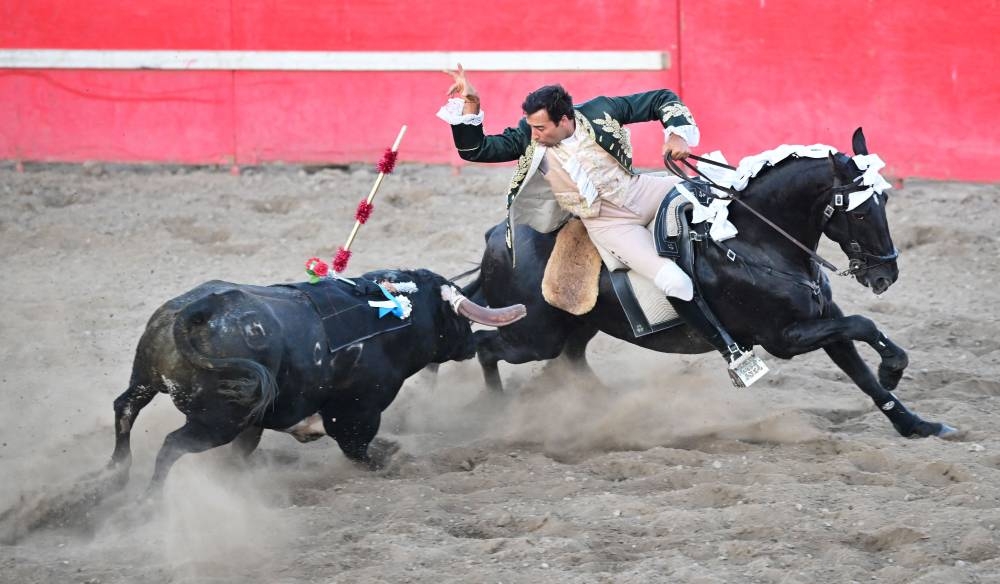 California’s Portuguese community keeps bullfighting alive without ...