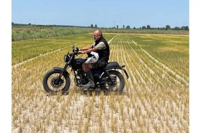 Italy’s famous Po Valley rice paddies decimated by drought | Malay Mail