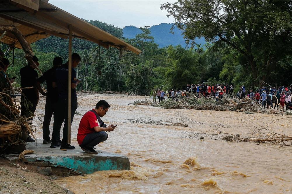 Baling floods: MACC finds no wrongdoing in Musang King durian farm ...