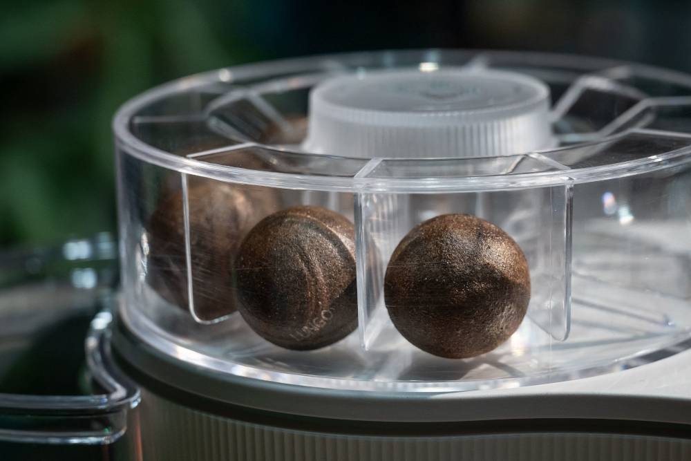 100pc compostable coffee balls bid to take on Nespresso | Malay Mail