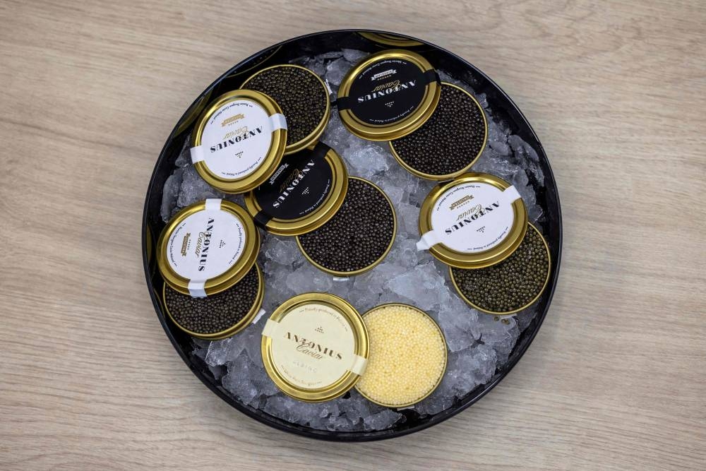 Polish fish farm fights ‘myth of Russian caviar’ | Malay Mail