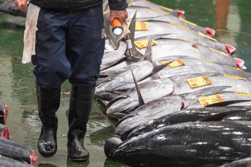 Japan tuna price soars past US$270,000 at New Year auction | Malay Mail