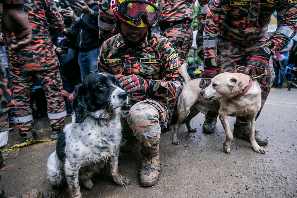 Civil Defence Force’s MoU paves way for use sniffer dogs in search and ...