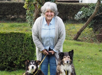 Shelter volunteer adopts UK senior dogs that got passed over for adoption due to age | Malay Mail