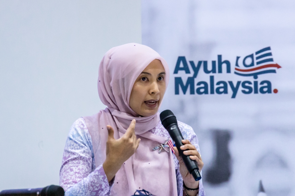 A pecking order in policy — Rais Hussin | Malay Mail