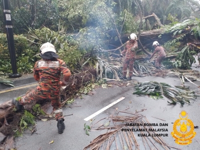 Two motorists injured, three vehicles damaged by falling trees in KL ...