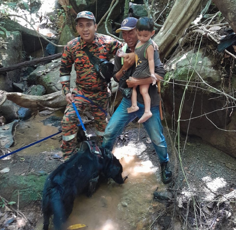 Sniffer dog helps locate boy missing for 24 hours in Lundu forest ...
