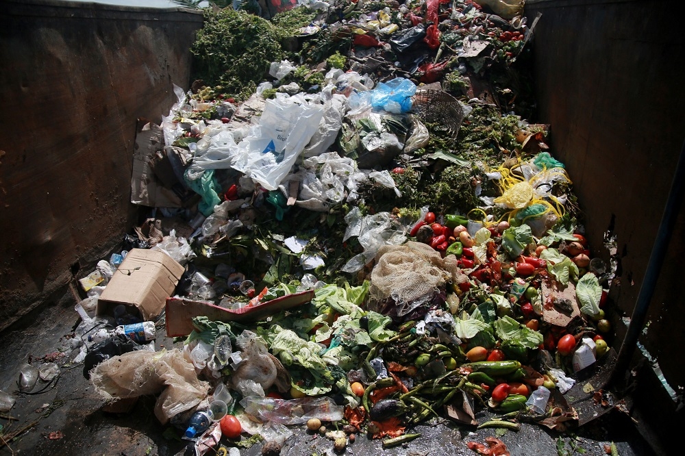 Study provides new insights into impact of food waste on environment ...