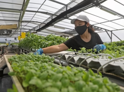 Buying local produce may cost more but is a ‘co-investment’ in ...