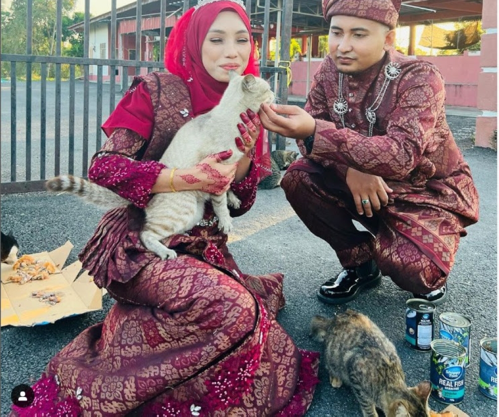 Kota Baru couple celebrate Raya by feeding stray cats a special feast ...