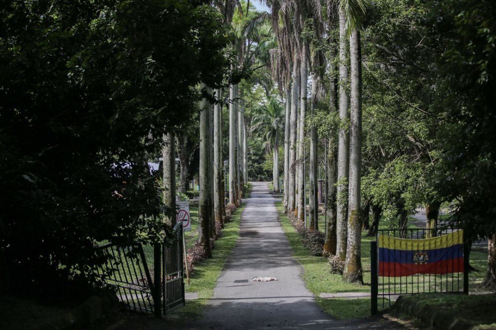 The Taman Rimba Kiara story: How TTDI residents saved a public park and ...