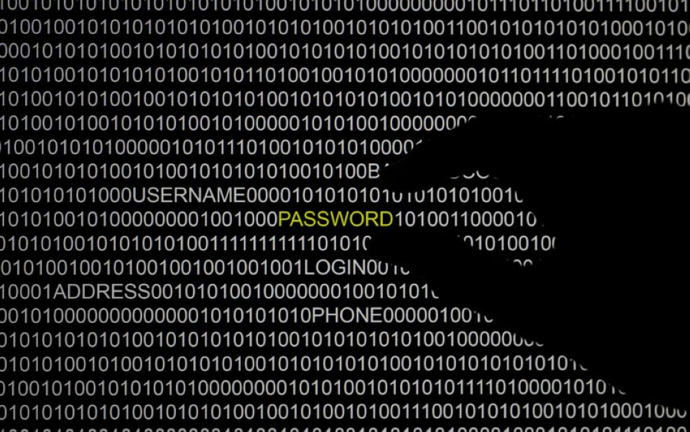 Cyber Security Bill can plug loopholes, avoid duplication of powers ...