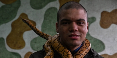 Snakes as therapy animals: Reptiles help heal in Brazil | Malay Mail
