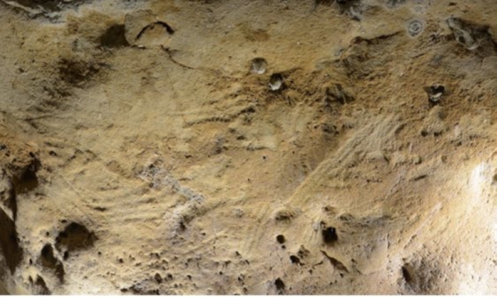 Researchers find 57,000-year-old Neanderthal engravings in French cave ...