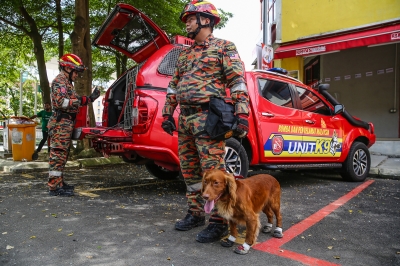 Perak Fire Dept deploys tracker dogs to locate missing teenager | Malay Mail