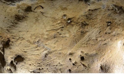 Researchers find 57,000-year-old Neanderthal engravings in French cave ...