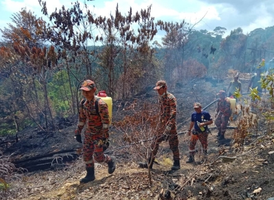 Sarawak firefighters finally beat forest fire near Lambir National Park ...