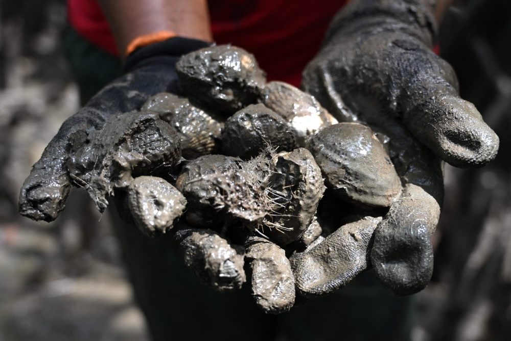 In Colombia, a community wins fight to protect a slice of paradise ...