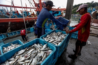 Fisheries Development Authority assures sufficient fish supply in ...
