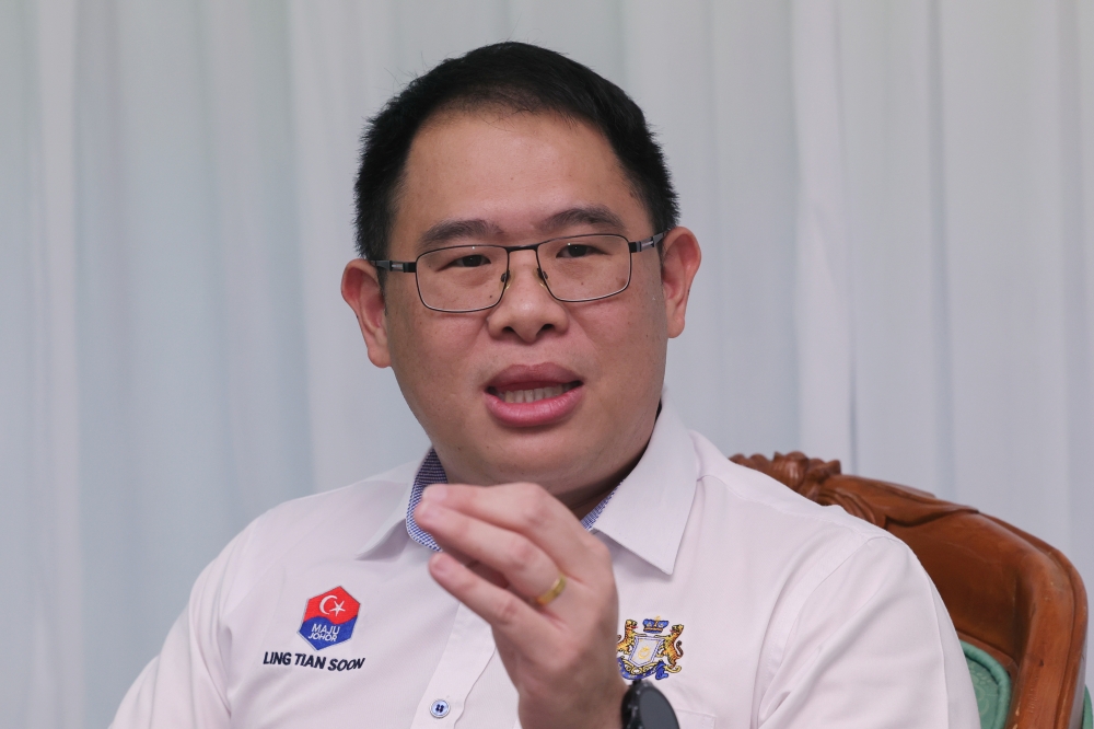 Ling Tian Soon, Wong You Fong elected as new MCA Youth, Wanita chiefs ...