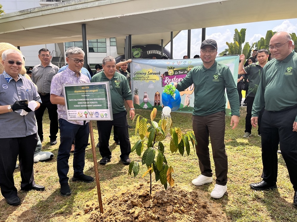 Forest Dept: Sarawak records most number of trees planted in Malaysia ...