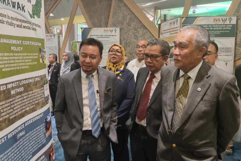 Deputy premier: Sarawak working on final draft of revised Heart of ...