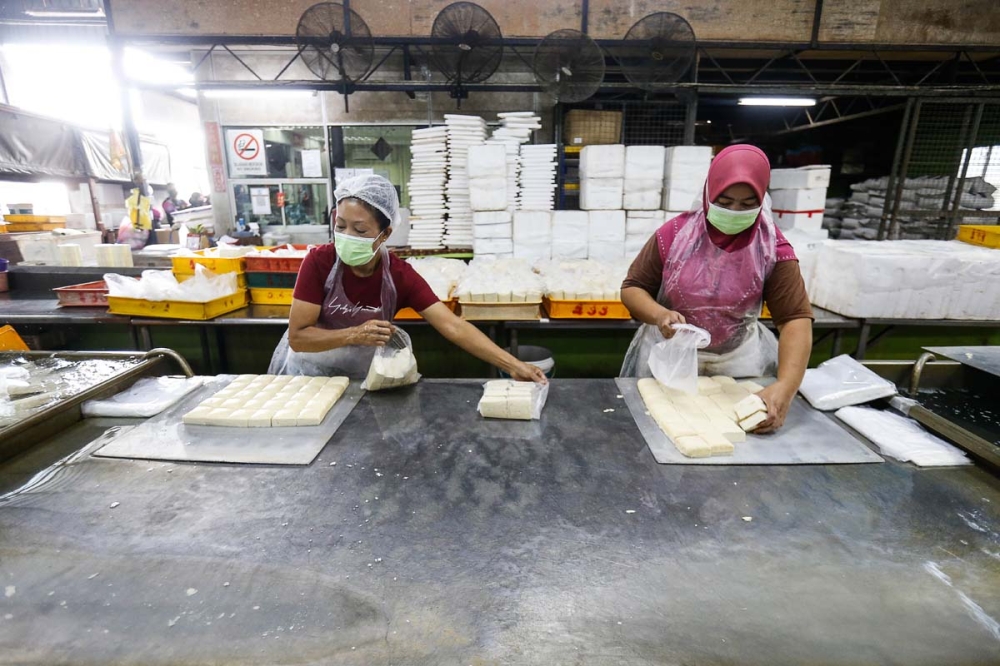 Levy system on foreign workers a welcome move to reform labour market ...