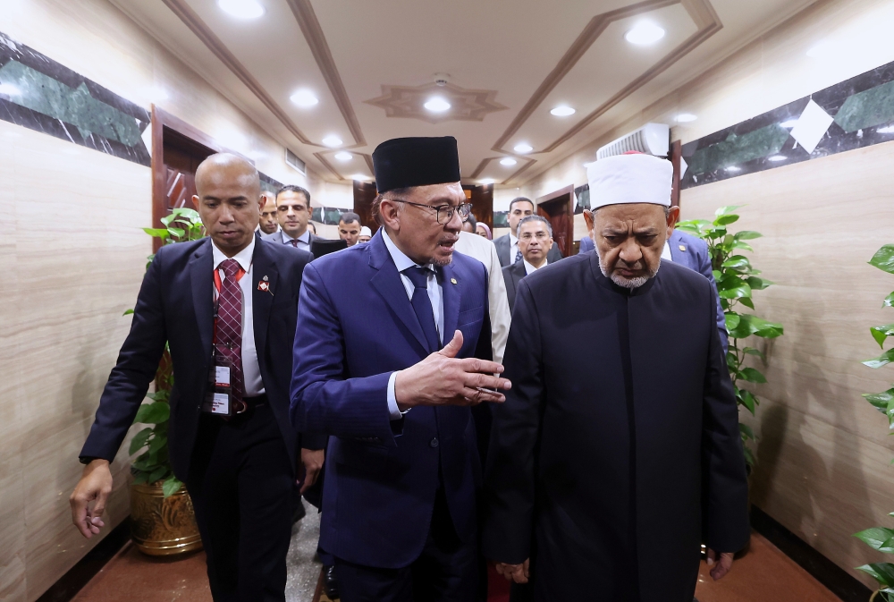 PM Anwar: Aid sent to Gaza must be needs-based | Malay Mail