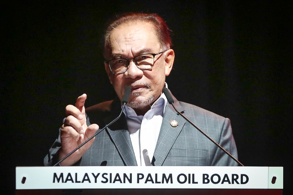 PM Anwar urges EU to recognise palm oil producing countries’ efforts in ...
