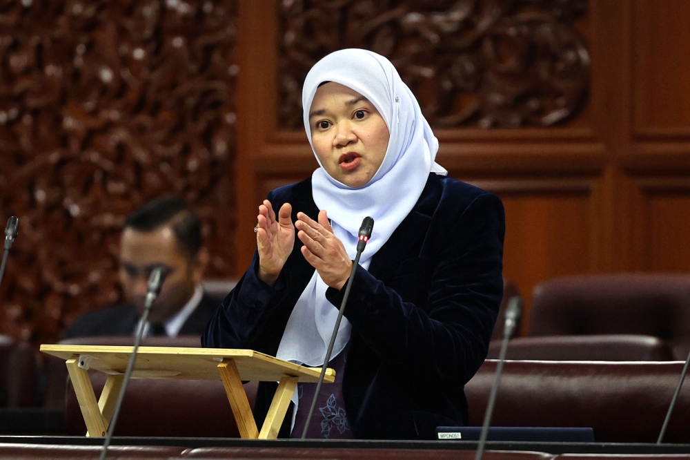 Report: Education minister says seven domains to be introduced to 2027 ...