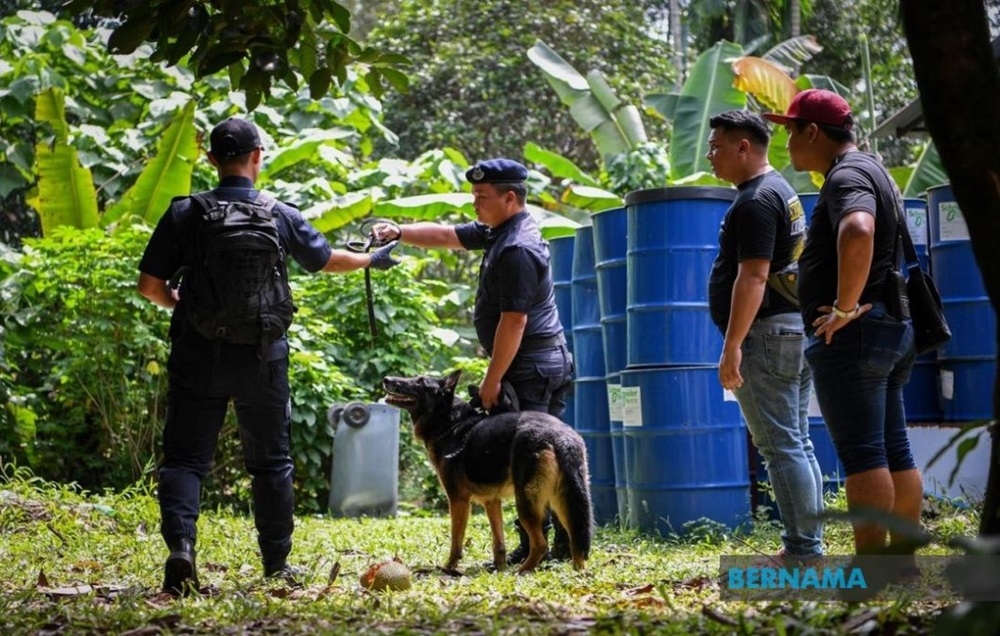 Police using tracker dogs Falco, Jimmy in investigation of Zayn Rayyan ...