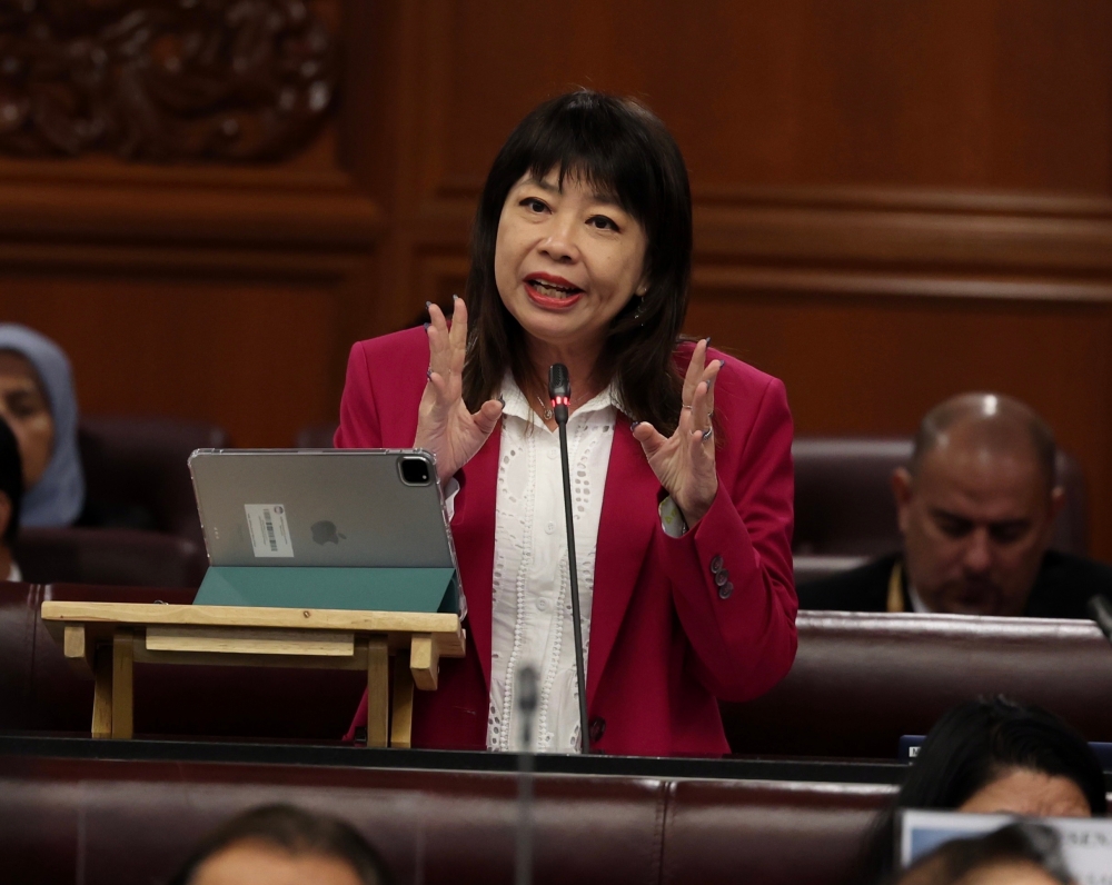 Cabinet reshuffle: DAP's Lim Hui Ying and Chan Foong Hin switch to new ...