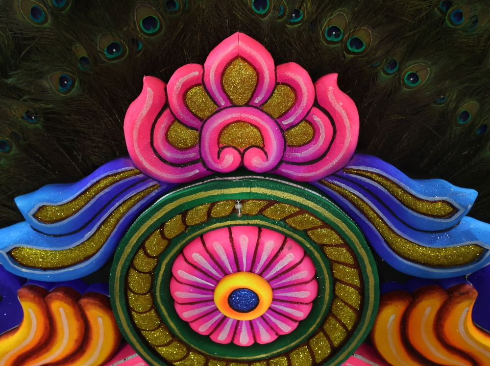 Bridging faith and heritage: 25 years of keeping peacock feather ...