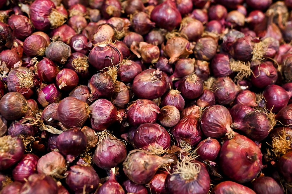 Malaysia on track to reduce dependency on imported red onions, says Mat ...
