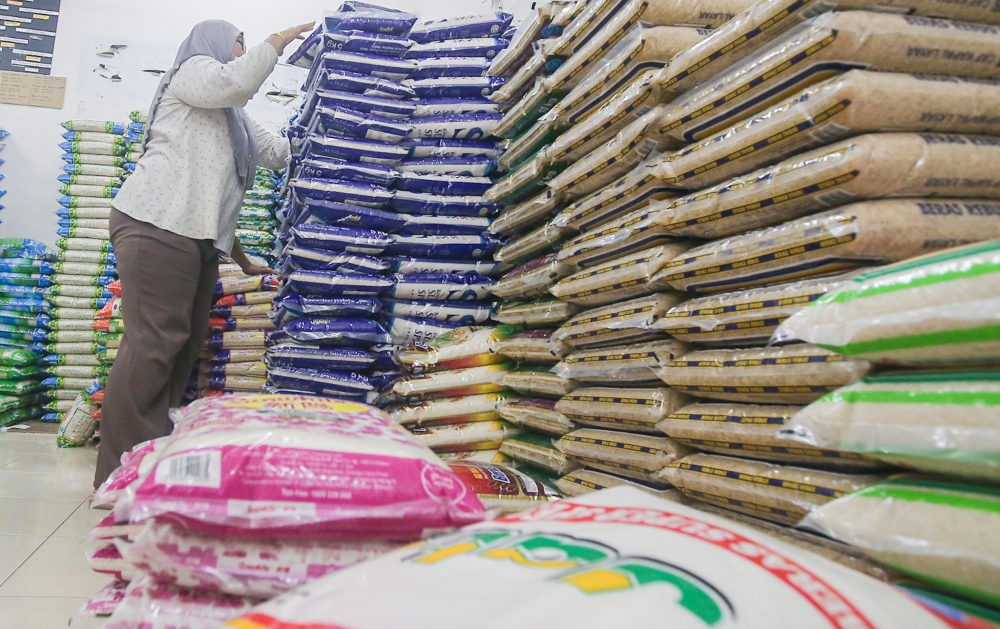 Malaysia’s rice stockpile enough to last more than four months, says ...