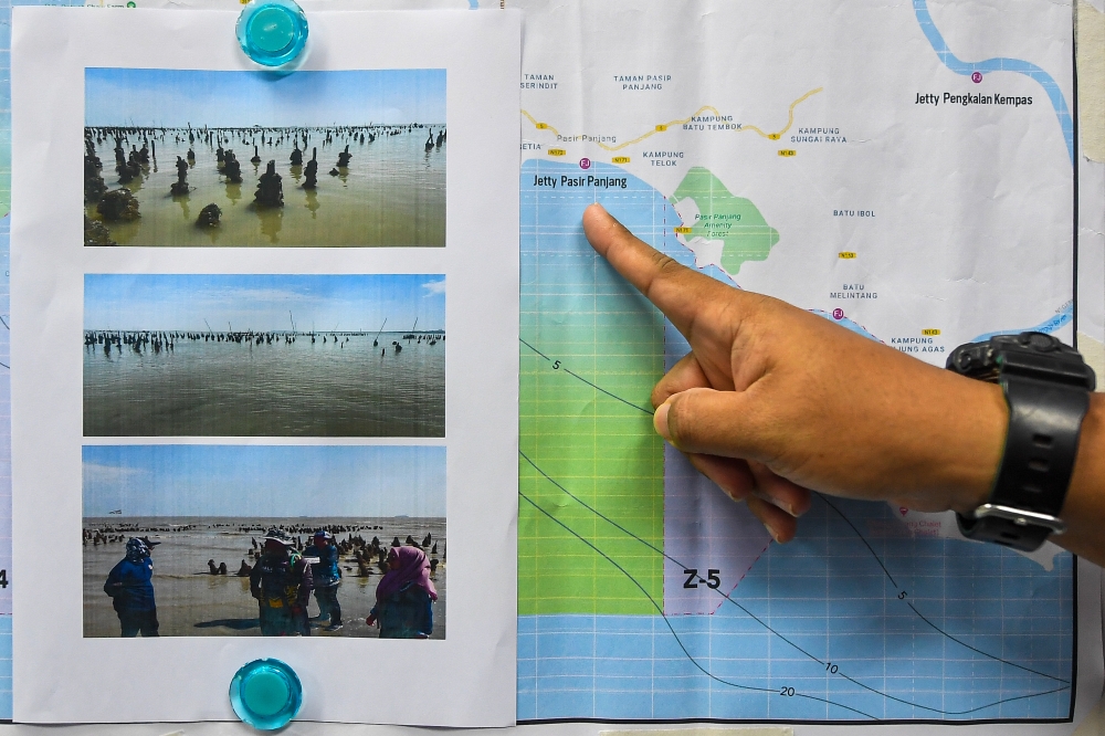 Fisheries Dept confirms Port Dickson mussels contaminated with biotoxin ...