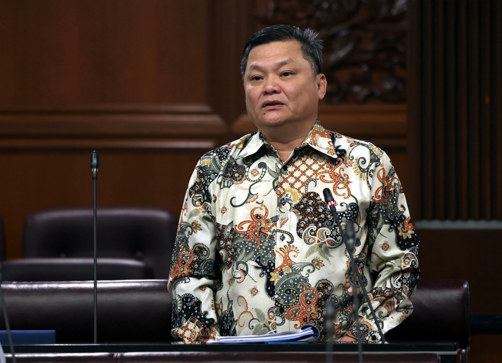 Dewan Negara passes two Bills today | Malay Mail