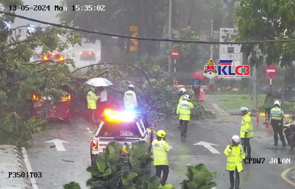Another fallen tree brings traffic to standstill in KL’s Golden ...