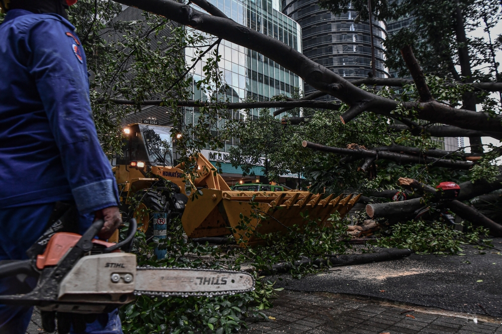 Melaka CM’s escort car among 10 vehicles hit by falling trees in KL ...
