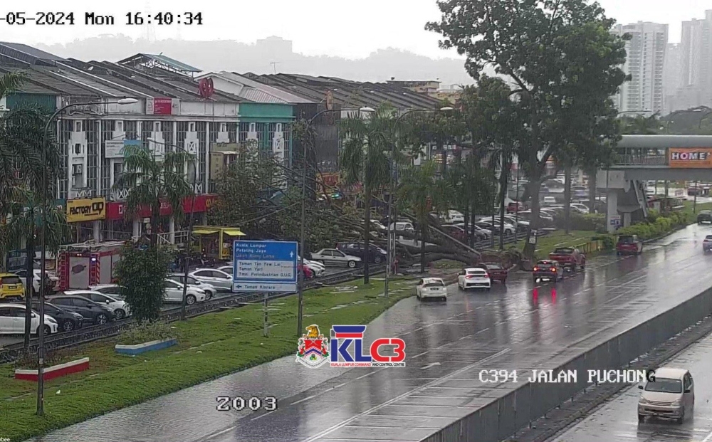 Toppled tree crushes seven cars in front of AmBank in Puchong’s Taman ...