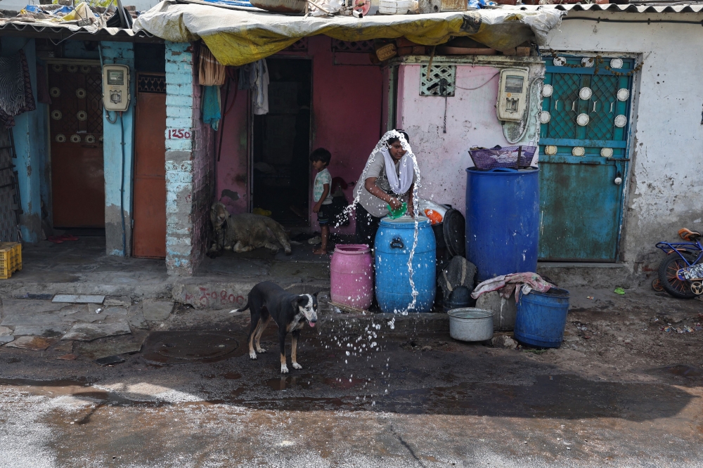 Animals collapse, water shortages bite amid India’s searing heat ...