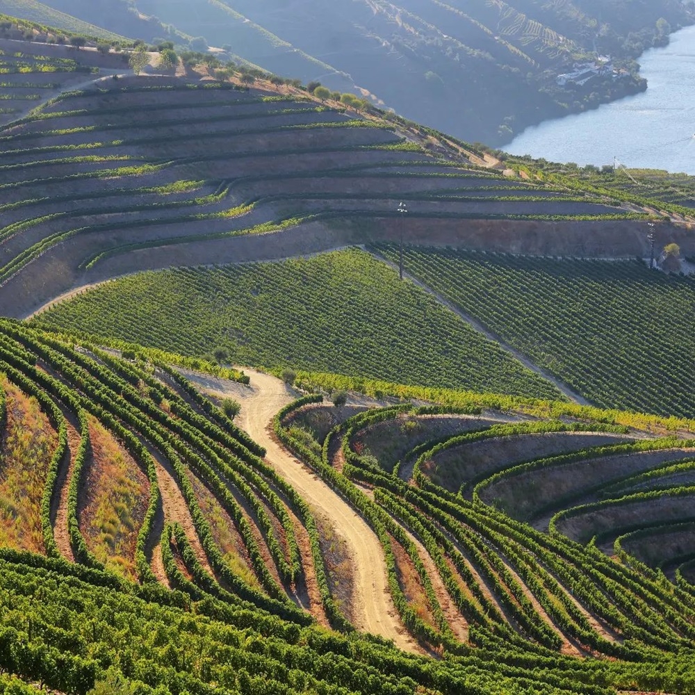 Portugal is launching the world's longest circular walking route ...