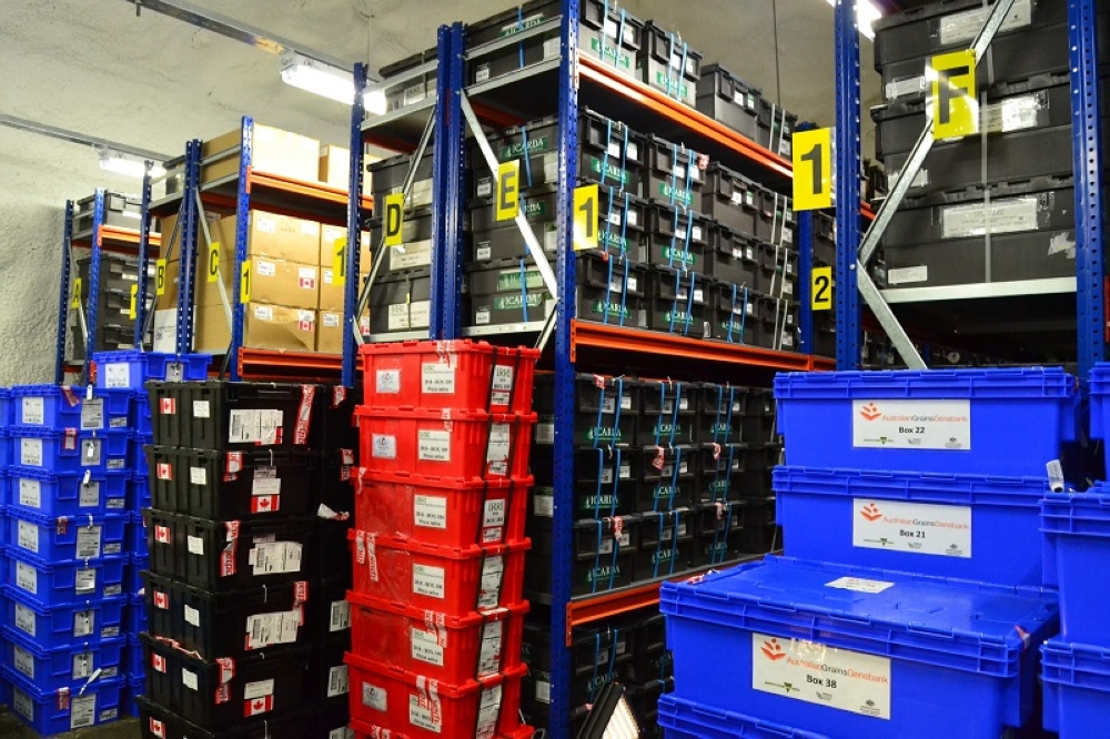 Explainer: What is the Arctic ‘Doomsday Vault’, what does it do ...