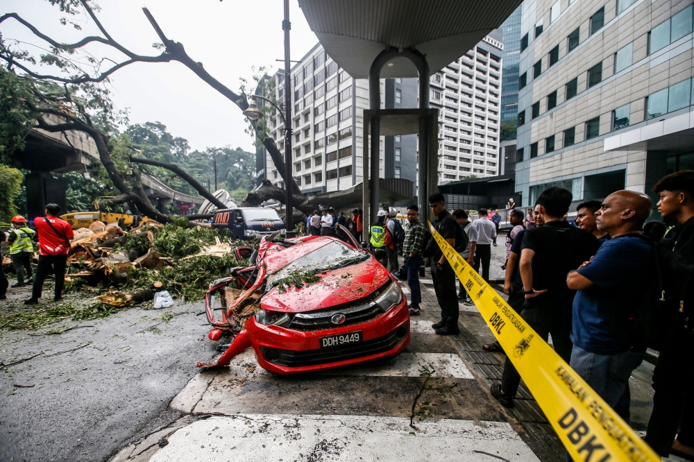 Claim damages from local councils, housing minister tells casualties of ...