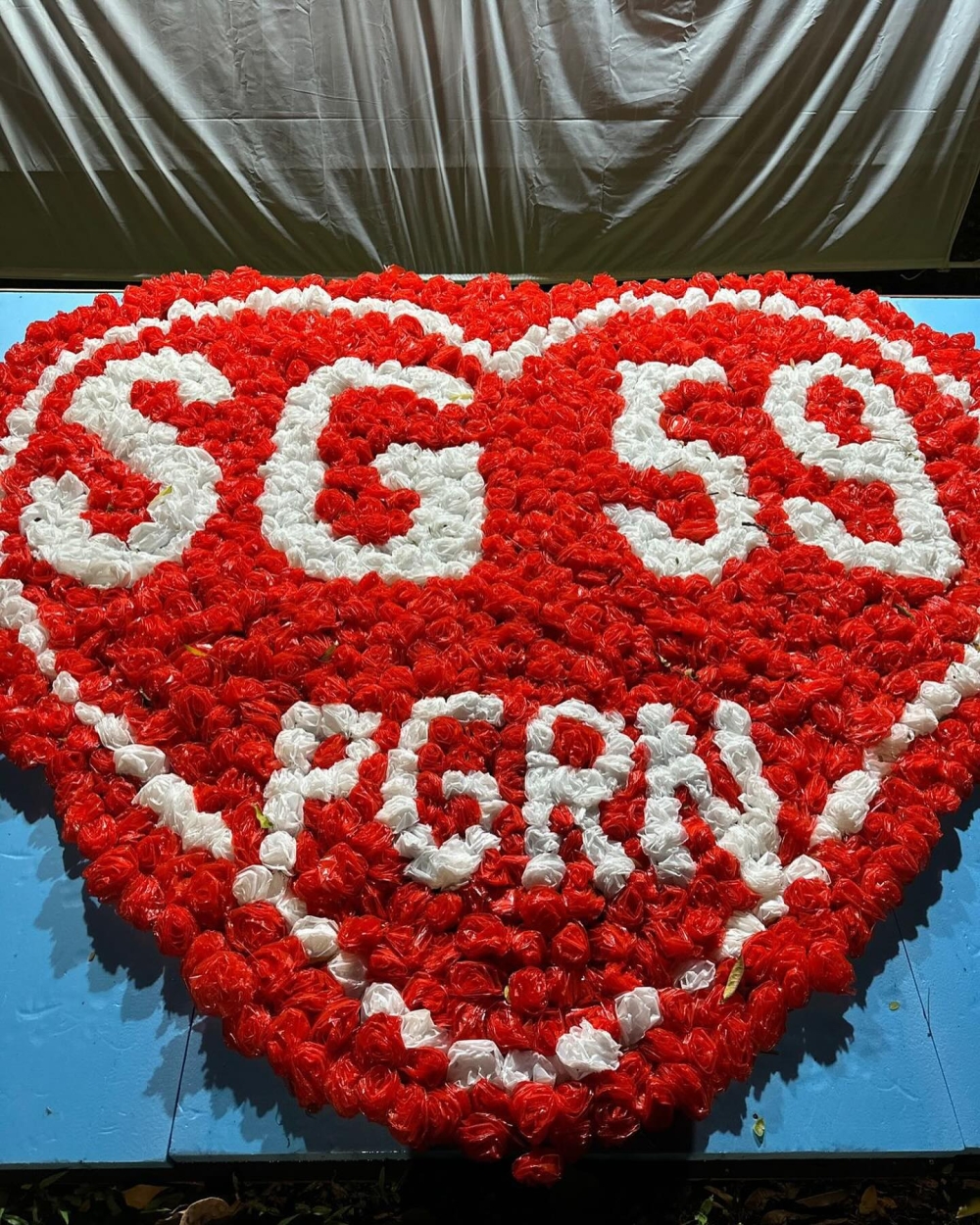 From SG 59 PDRN to SG 59 PORN: Vandals give National Day tribute a naughty twist in Singapore ...